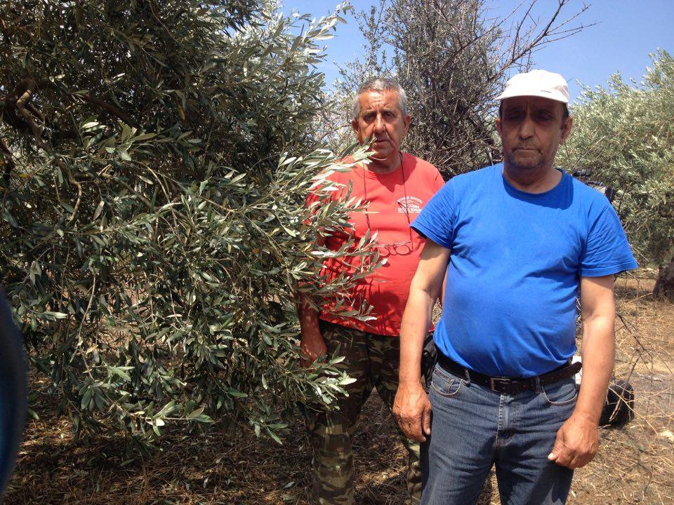 Δ. Τεμπών: Καταστροφές σε καλλιέργειες από το χαλάζι (ΦΩΤΟ) - larissanet.gr