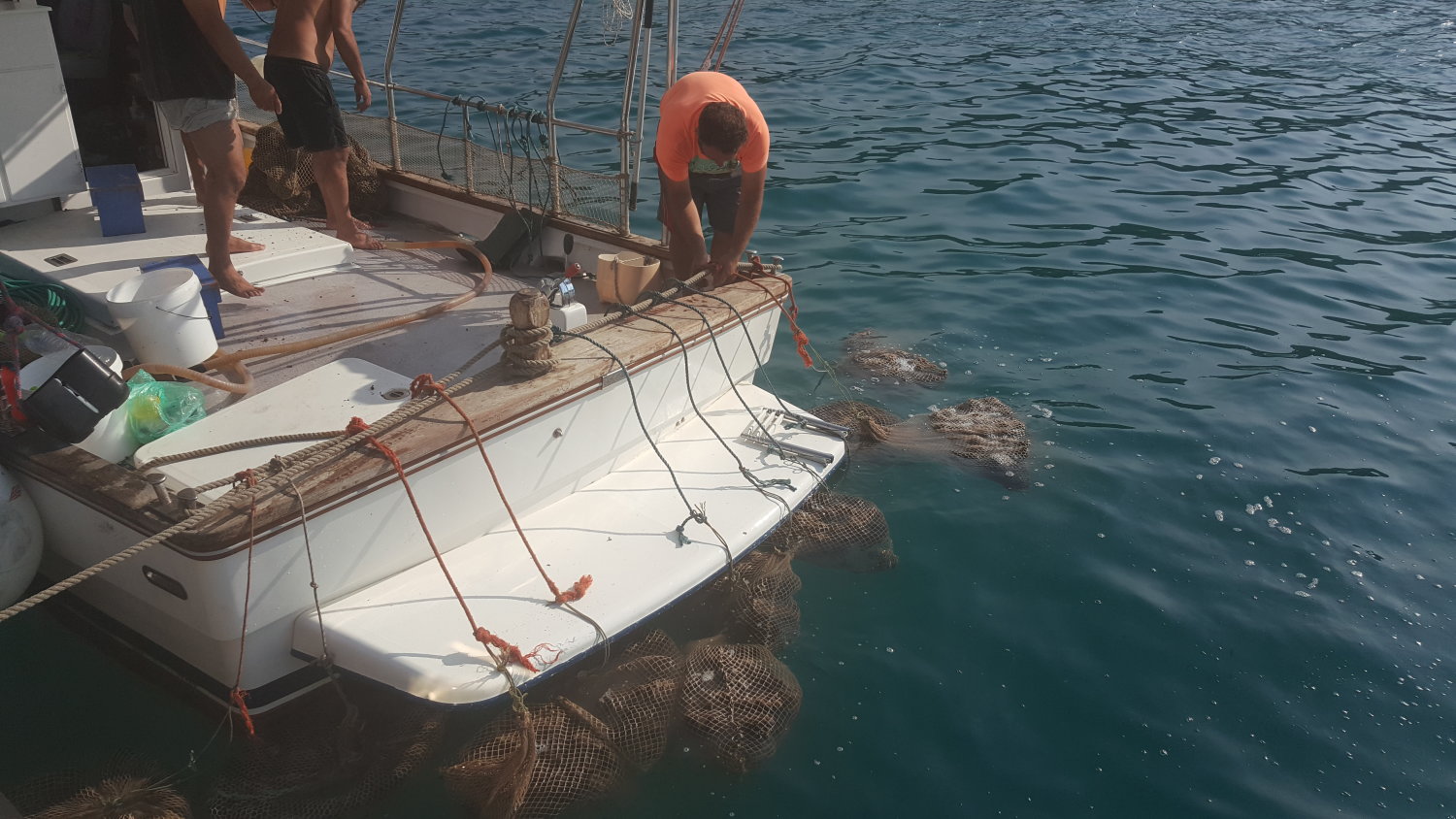 Και όμως... ψαρεύουν σφουγγάρια στα παράλια της Λάρισας! (ΦΩΤΟ ...