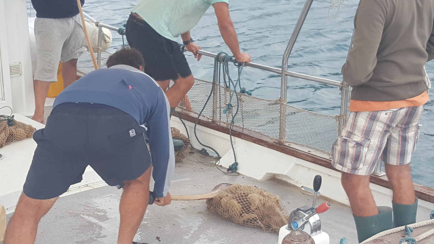 Και όμως... ψαρεύουν σφουγγάρια στα παράλια της Λάρισας! (ΦΩΤΟ ...
