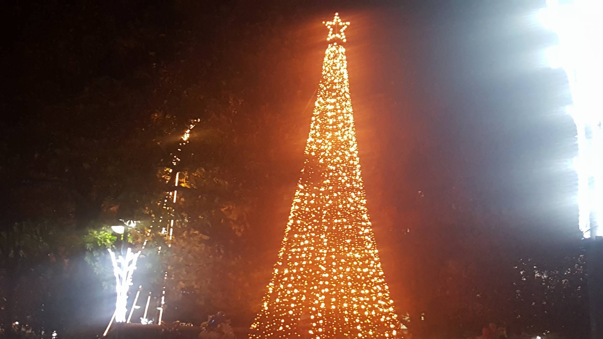 Το πάρτι ξεκίνησε στη Λάρισα... (φωτ.+βίντεο) - larissanet.gr