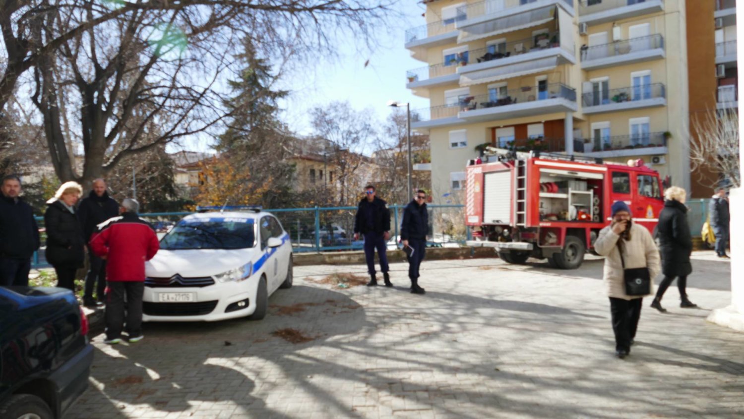 Δέντρο έπεσε στο προαύλιο του ΓΝΛ (φωτ. + βίντεο) - larissanet.gr