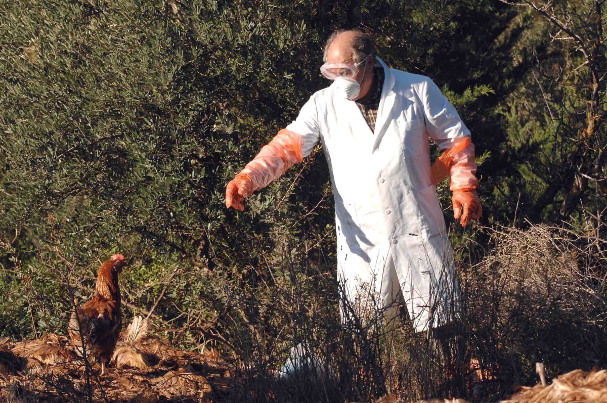 ΟΣΥΑΠΕ: Να μην απολυθούν οι συμβασιούχοι κτηνίατροι που εργάζονται στο ...