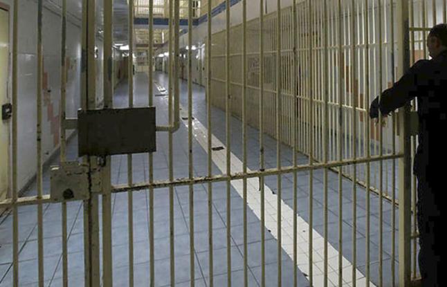 Στη φυλακή 30χρονος που ανέβηκε σε δέντρο για να σωθεί... από σκύλο ...