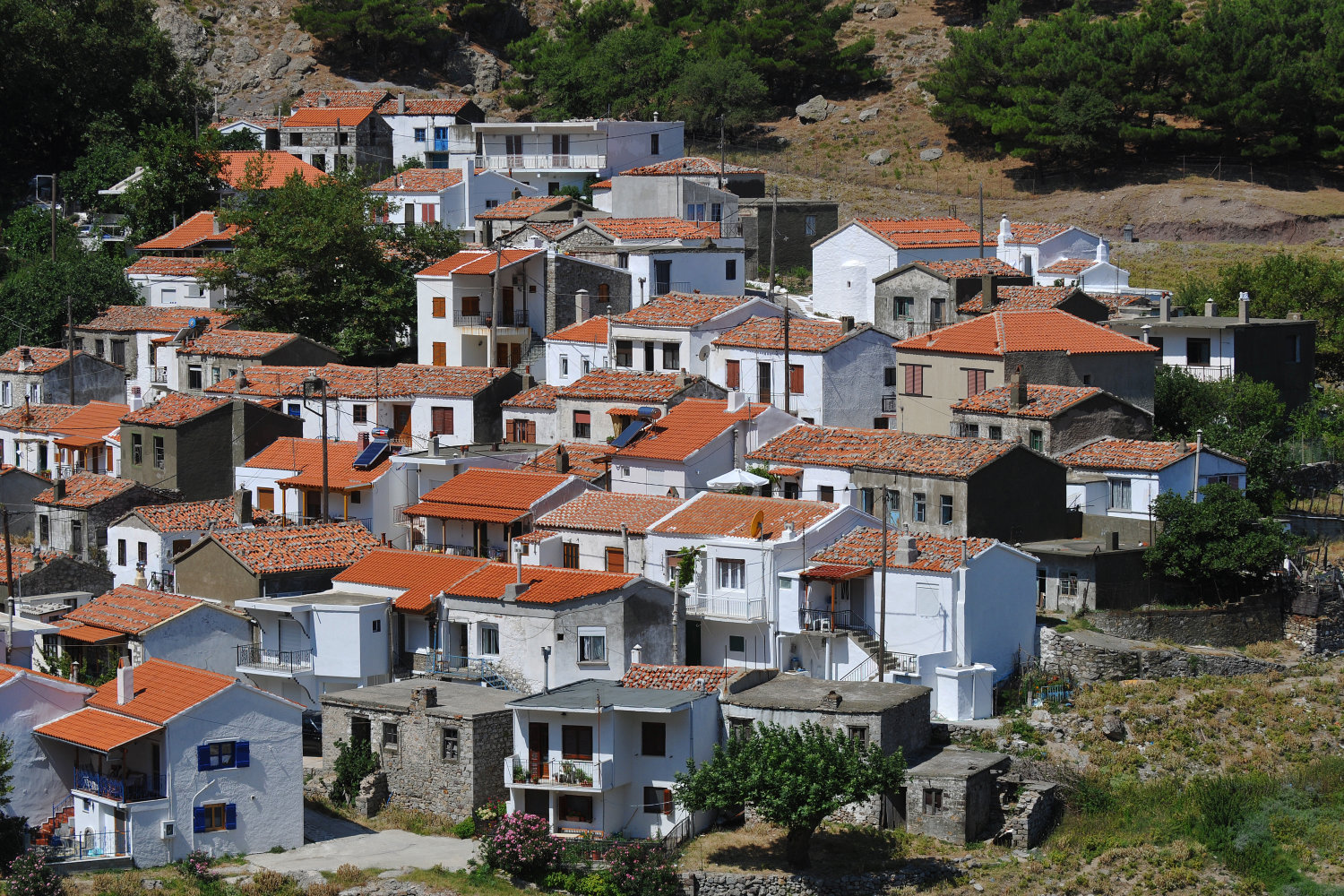 Σαμοθράκη: Στο νησί των Θεών (φωτ.) - larissanet.gr