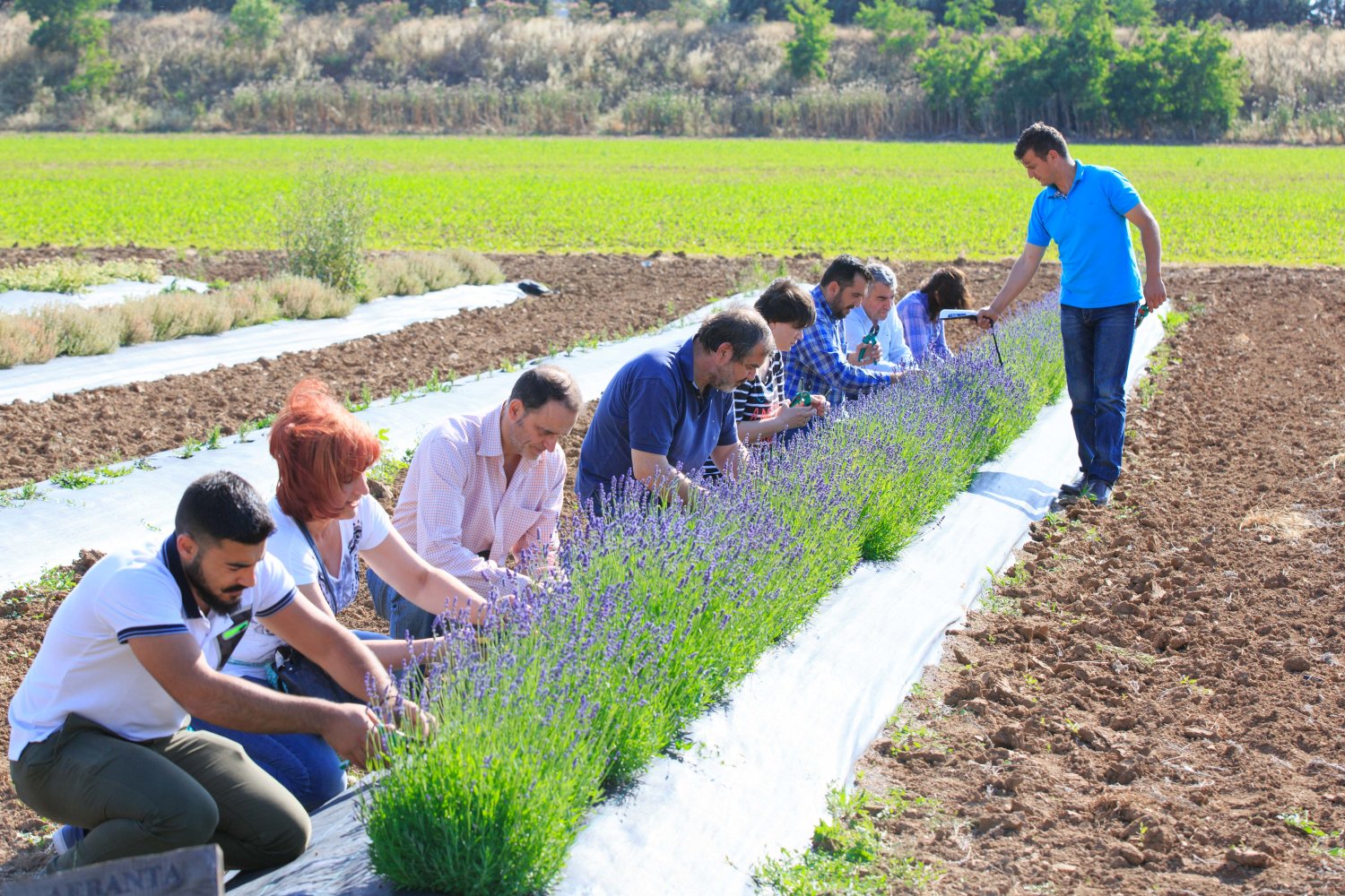 Ξεκινούν οι εγγραφές για τα Προγράμματα Εκπαίδευσης Ενηλίκων της ...