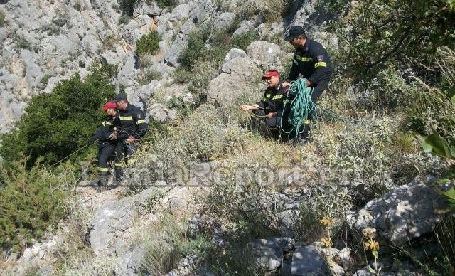 Περιπέτεια για δύο φίλους στο κυνήγι - larissanet.gr