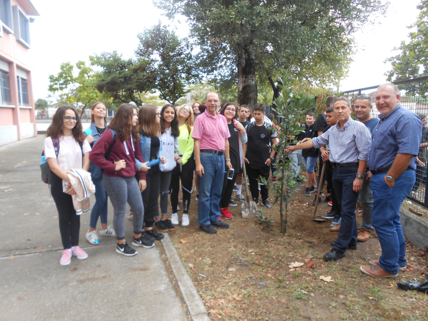 Συμβολική δενδροφύτευση στο Γυμνάσιο Πλατυκάμπου - larissanet.gr