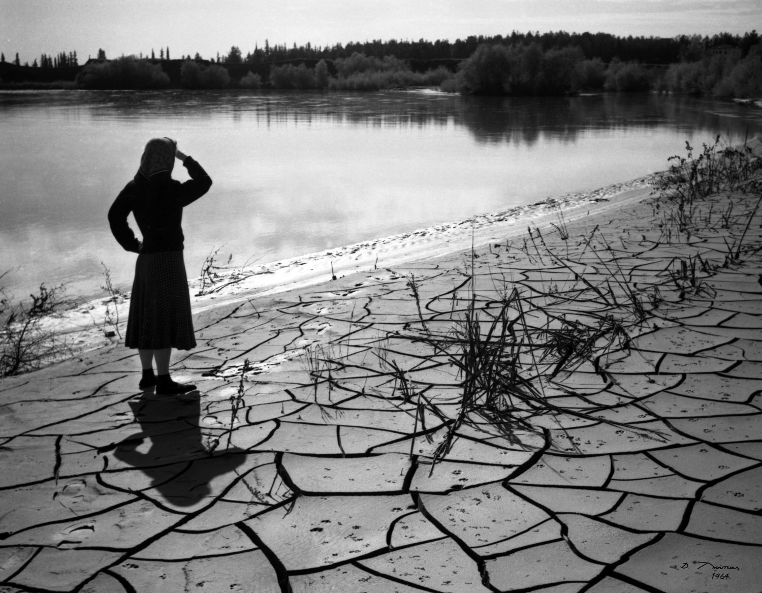 «Ταξίδια μιας ζωής» του Τάκη Τλούπα - larissanet.gr