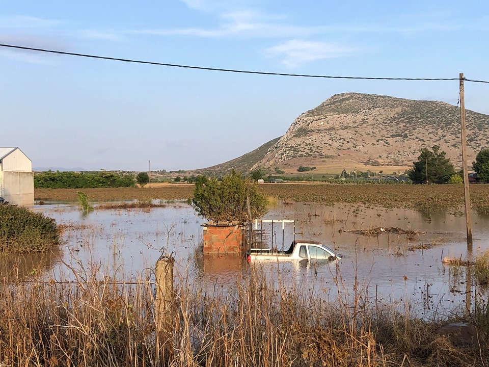 “Ιανός”: Εννέα προτάσεις για να ανακάμψουν τα Φάρσαλα - larissanet.gr