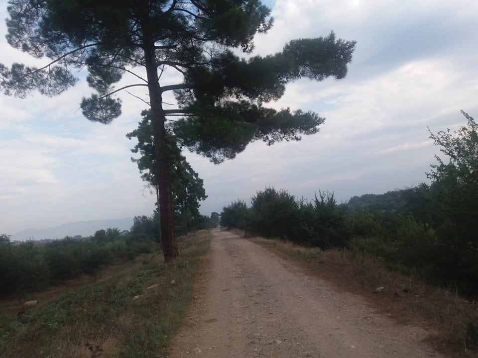 Ο δρόμος που «γεννάει» Λαρισαίους μαραθωνοδρόμους (φωτ.) - larissanet.gr