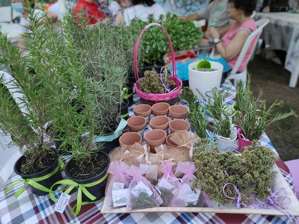 Το ΚΔΑΠ ΜΕΑ ΠΡΟΣΒΑΣΗ Λάρισας στο Φεστιβάλ Πηνειού - larissanet.gr