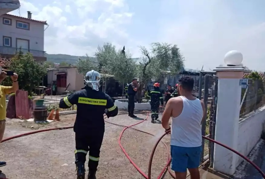 Ωρωπός: Η συγκινητική ιστορία της ηλικιωμένης που βρέθηκε νεκρή μετά ...
