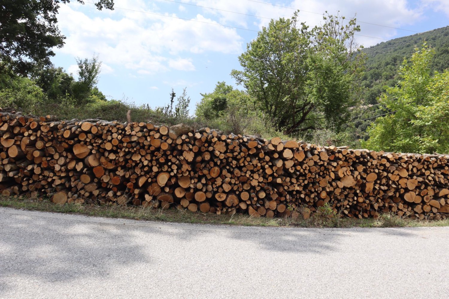 Λιγότερα και ακριβότερα τα καυσόξυλα στην περιοχή της Λάρισας ...