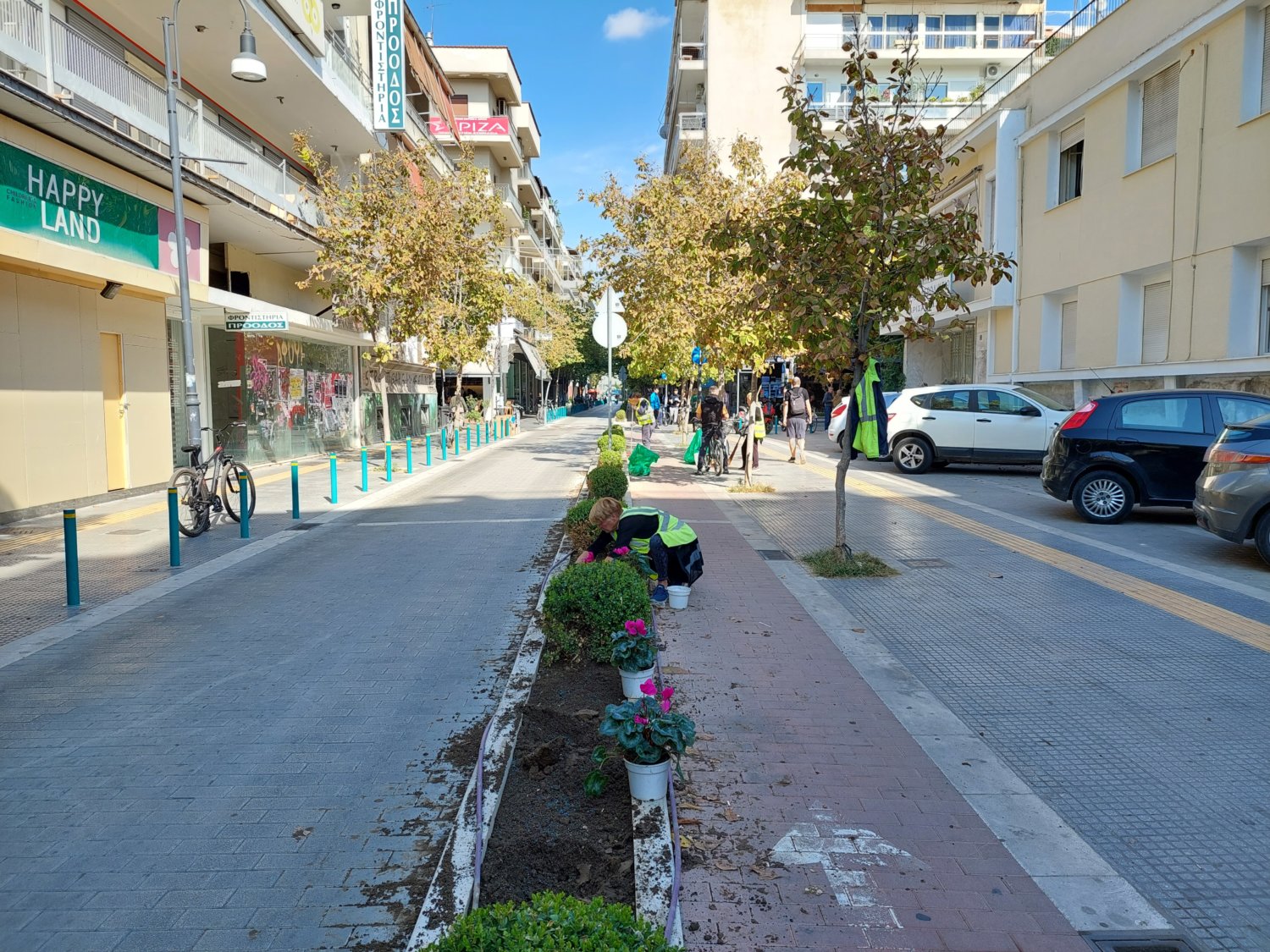 Λάρισα: Η Μ. Αλεξάνδρου γέμισε κυκλάμινα (φωτ.) - larissanet.gr