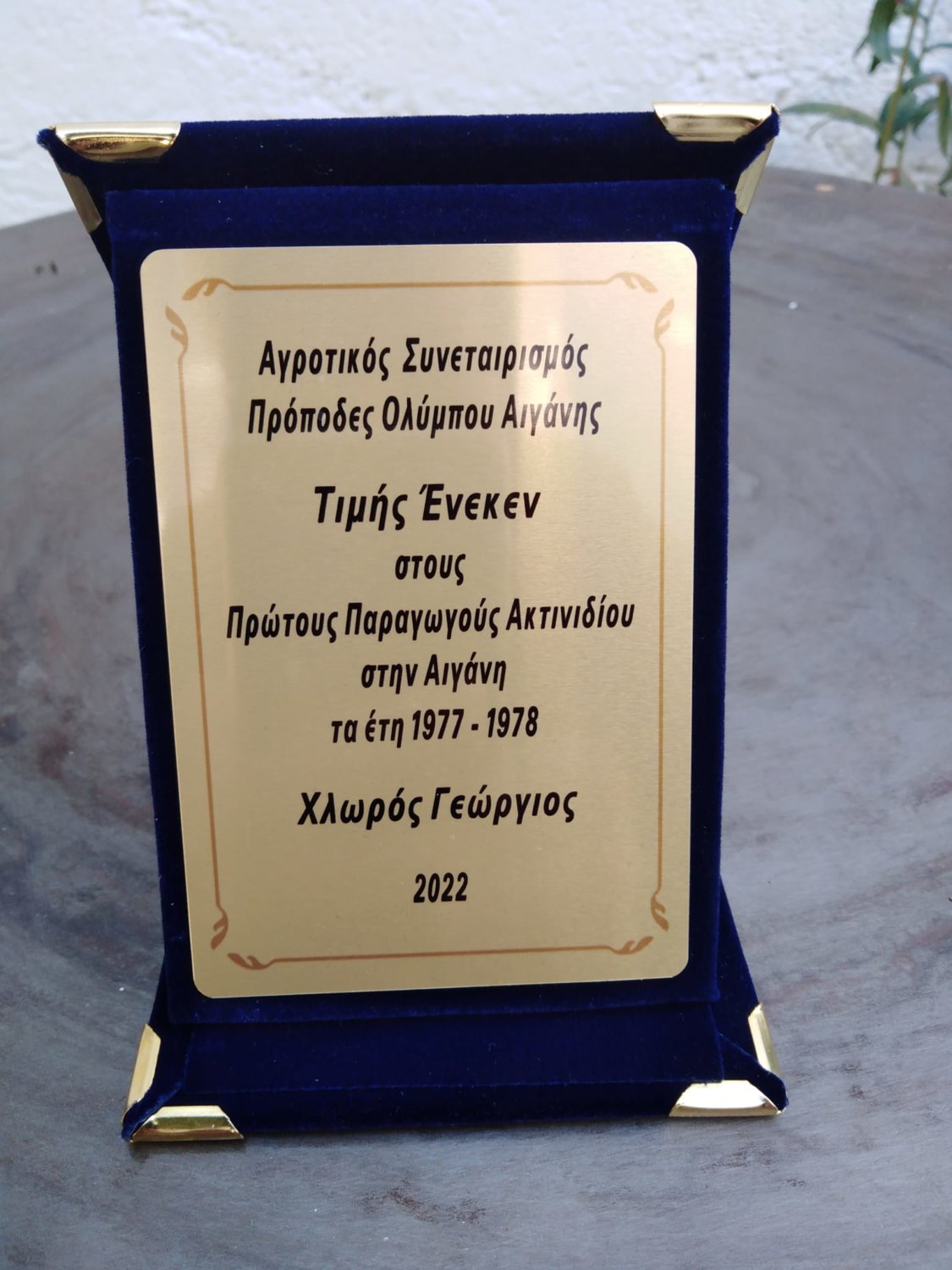 Βραβείο για τον πρωτοπόρο καλλιεργητή ακτινιδίων της Αιγάνης Γιώργο ...