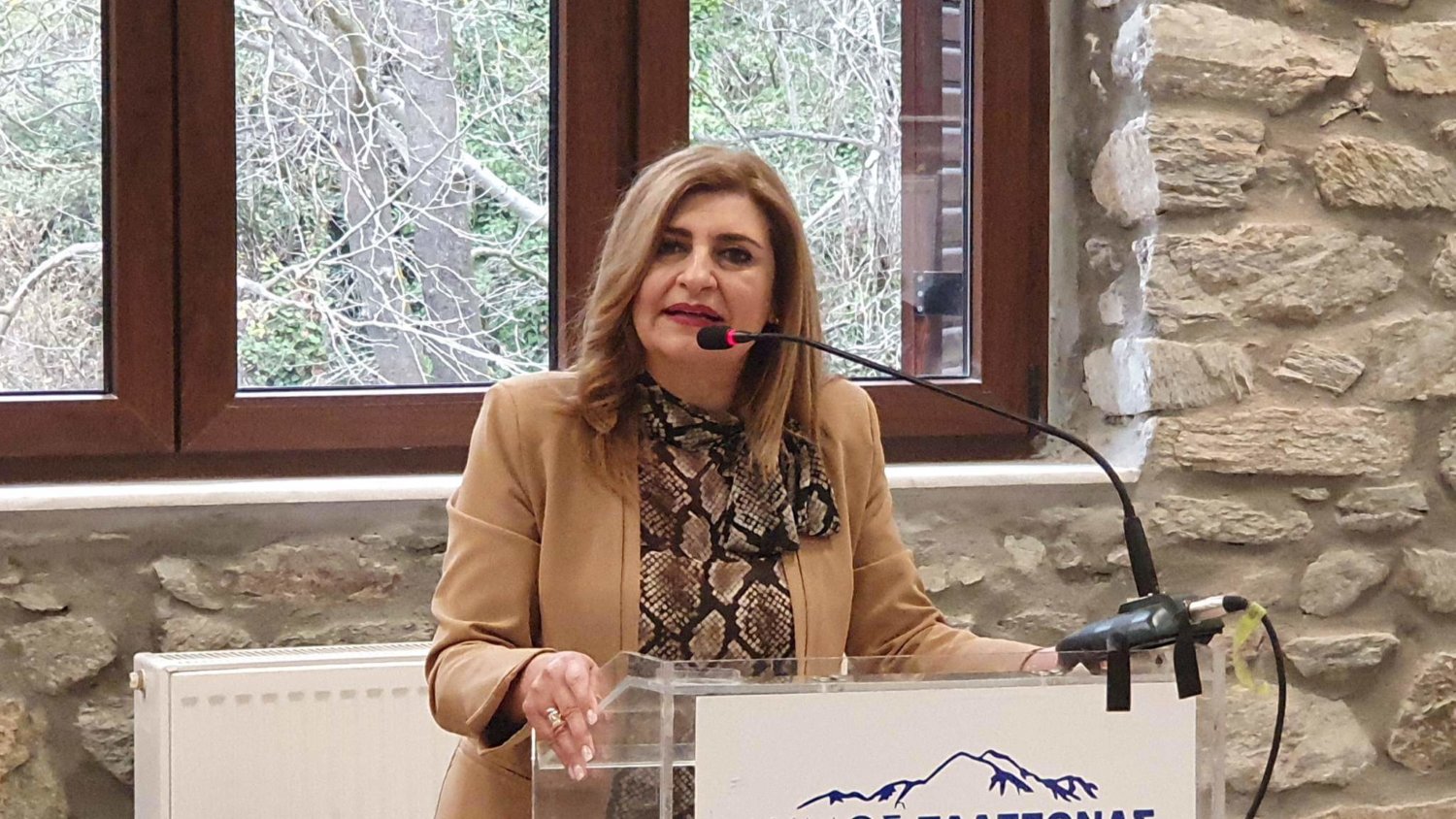 Ευ. Λιακούλη: «Η Ελασσόνα είναι ένα ακατέργαστο διαμάντι» - larissanet.gr