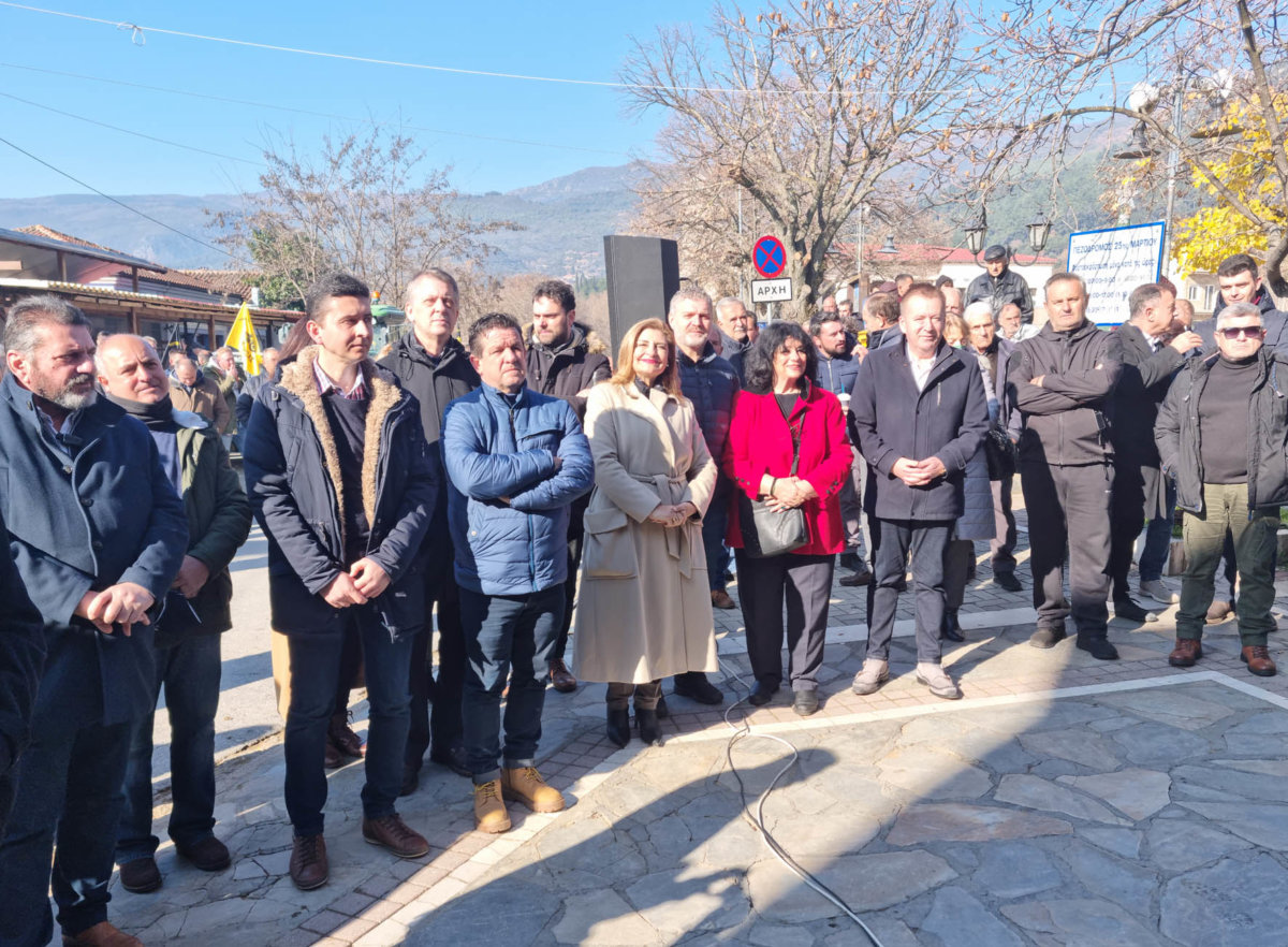 Η Άννα Βαγενά στο μαζικό συλλαλητήριο των αγροτών στην Αγιά - larissanet.gr