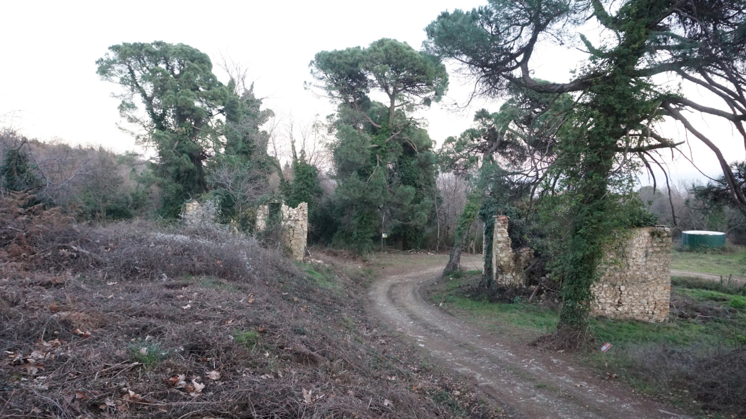 Στο ΦΕΚ η προκήρυξη 1Γ/2024 του ΑΣΕΠ για ειδικότητα ΤΕ Δασοπονίας ...
