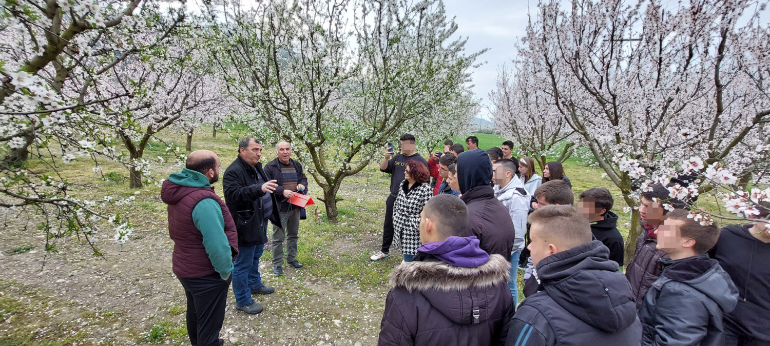 Οδηγίες σε αμυγδαλοπαραγωγούς από μαθητές του ΕΠΑΛ Αγιάς (φωτ ...
