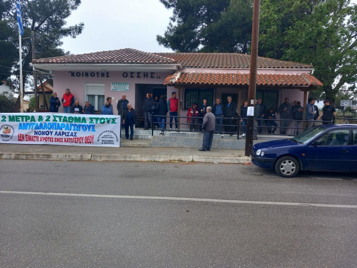 Αμυγδαλοπαραγωγοί σε απόγνωση... Εικόνες από τη συγκέντρωση της Όσσας ...