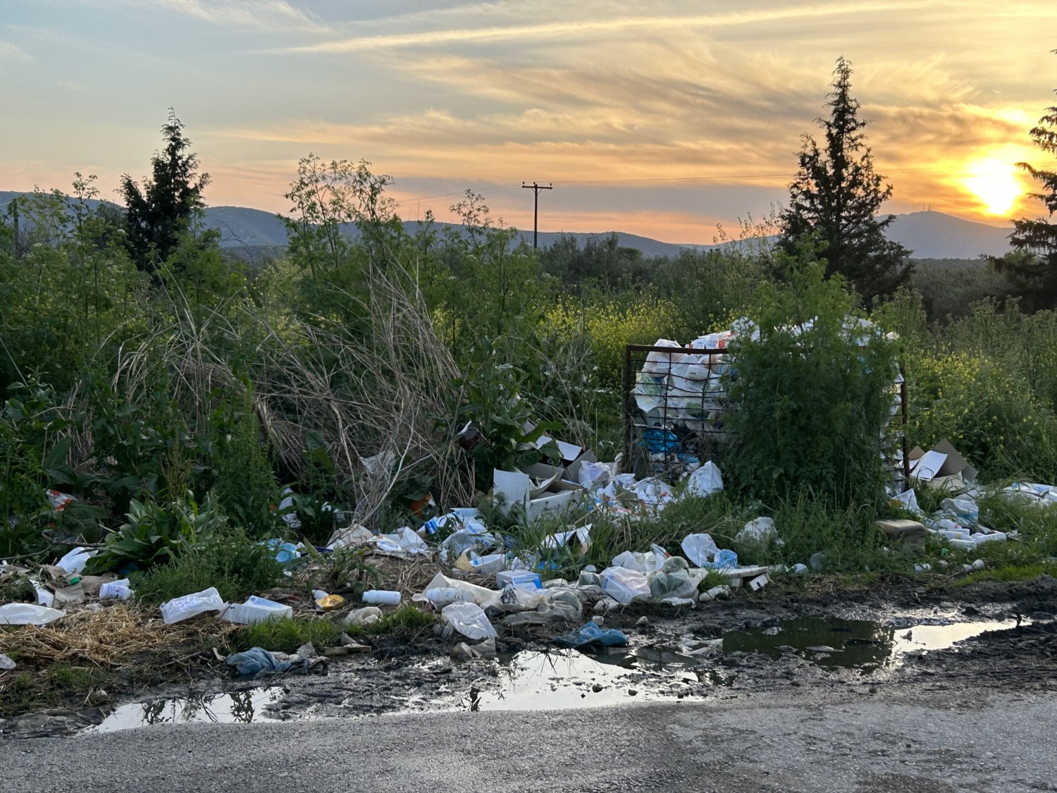 Πεταμένες συσκευασίες φυτοφαρμάκων έξω από του Πουρνάρι! - larissanet.gr