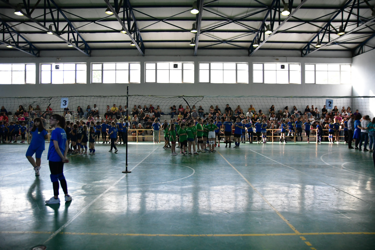 Η γιορτή του βόλεϊ για νεαρές αθλήτριες στο 22ο Δημοτικό Σχολείο ...