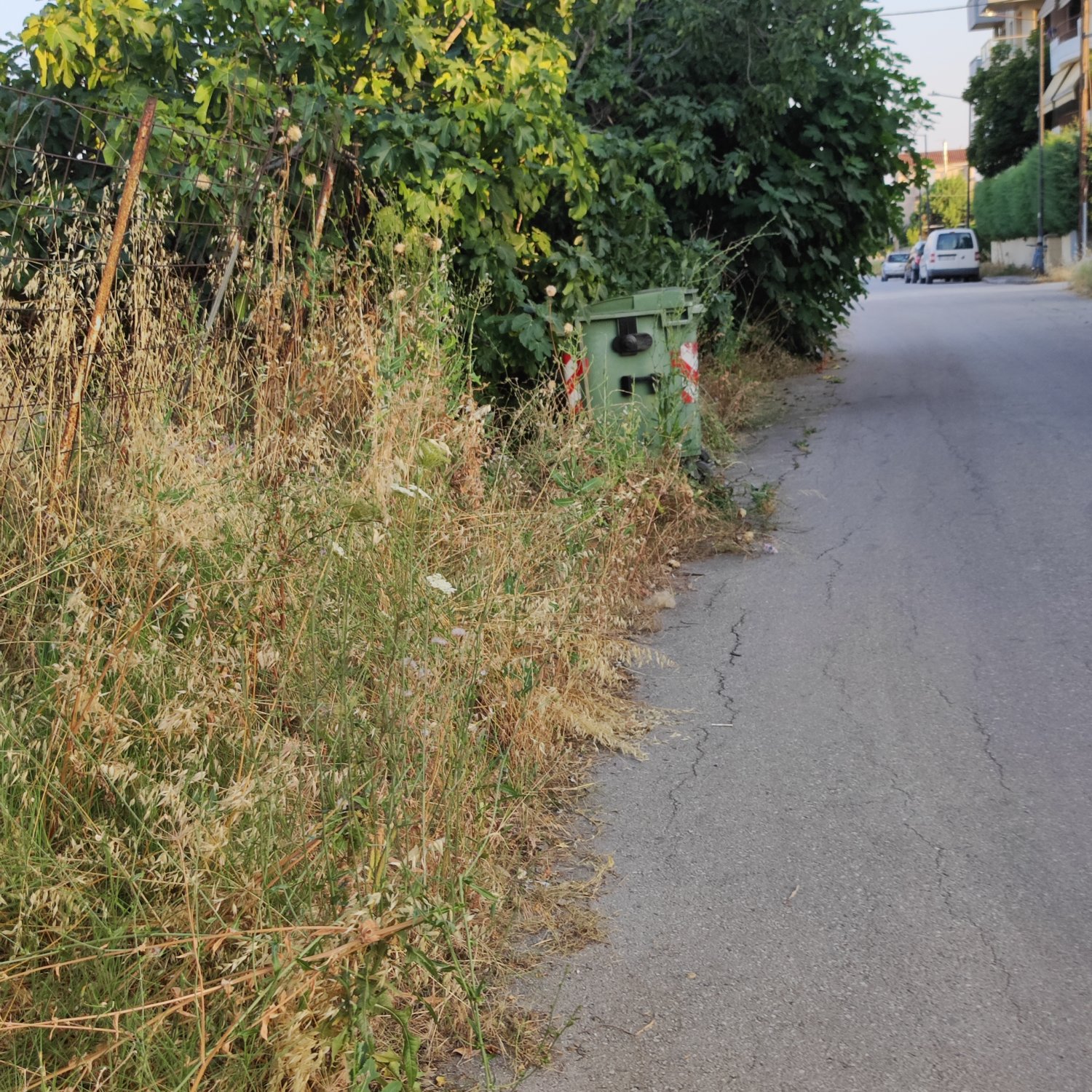 "Εικόνες εγκατάλειψης σε δρόμο της συνοικίας Νέα Πολιτεία ...