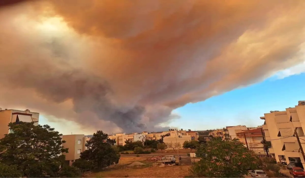 Φωτιά στην Αλεξανδρούπολη: Καλύτερη η εικόνα στο μέτωπο ...