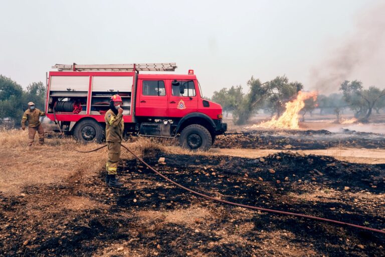 Εθελοντές – Δασοπυροσβέστες μιλούν για την βιβλική καταστροφή στον Έβρο ...