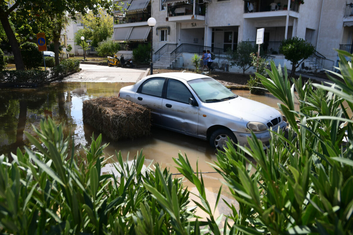 Λάρισα: Εικόνες "αποκάλυψης" στις Εργατικές Κατοικίες Γιάννουλης (φωτ ...