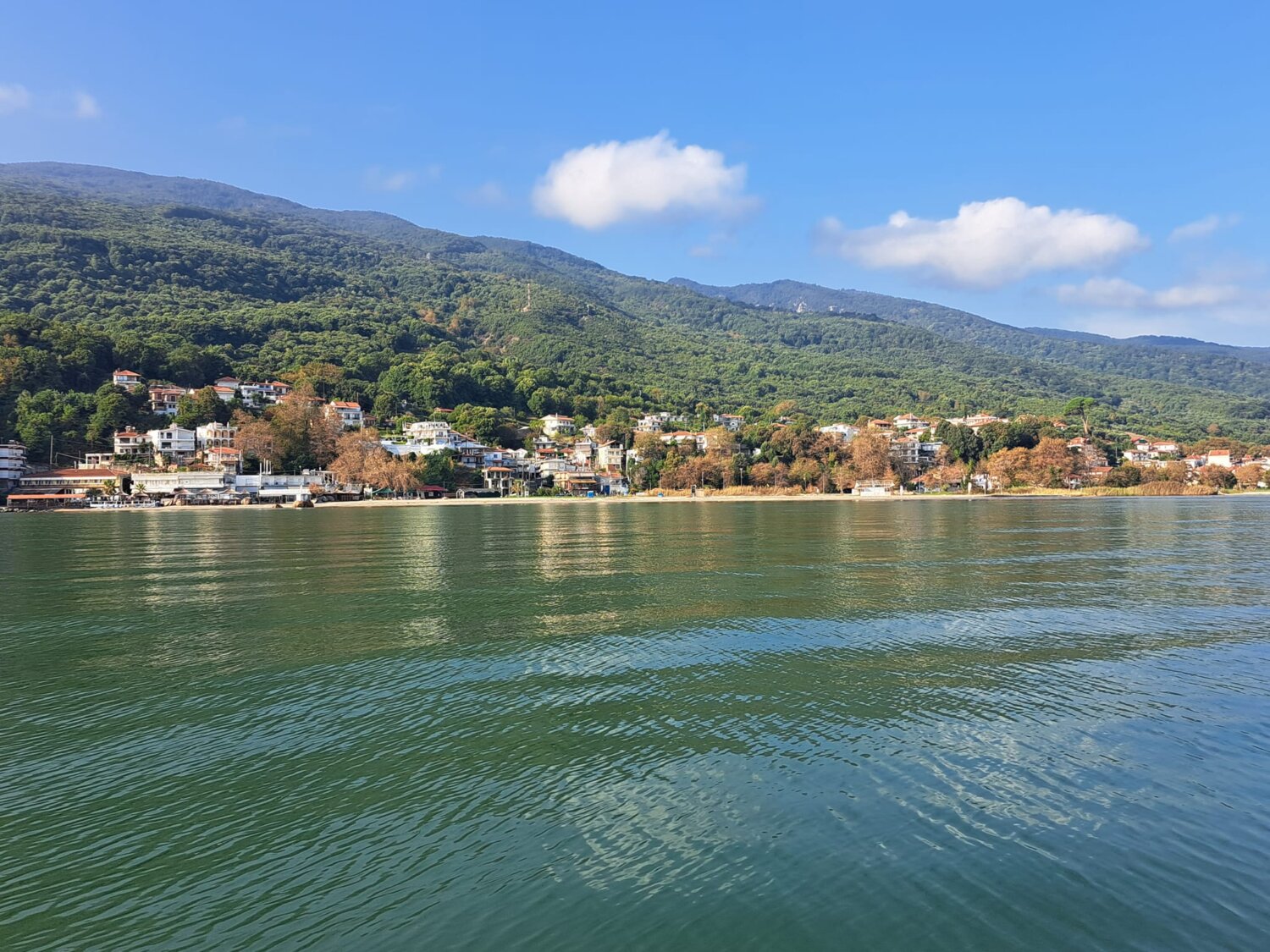 Δείγματα από τη θάλασσα λαμβάνει ο Δ. Αγιάς - Τί αναφέρει ο Ν. Ντάγκας ...