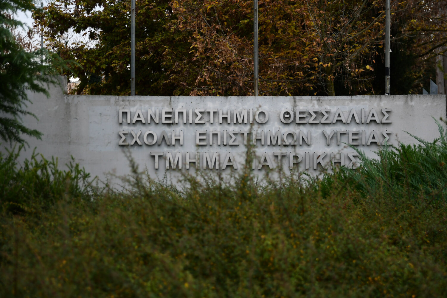 Ορκωμοσίες στη Σχολή Επιστημών Υγείας του Πανεπιστημίου Θεσσαλίας ...