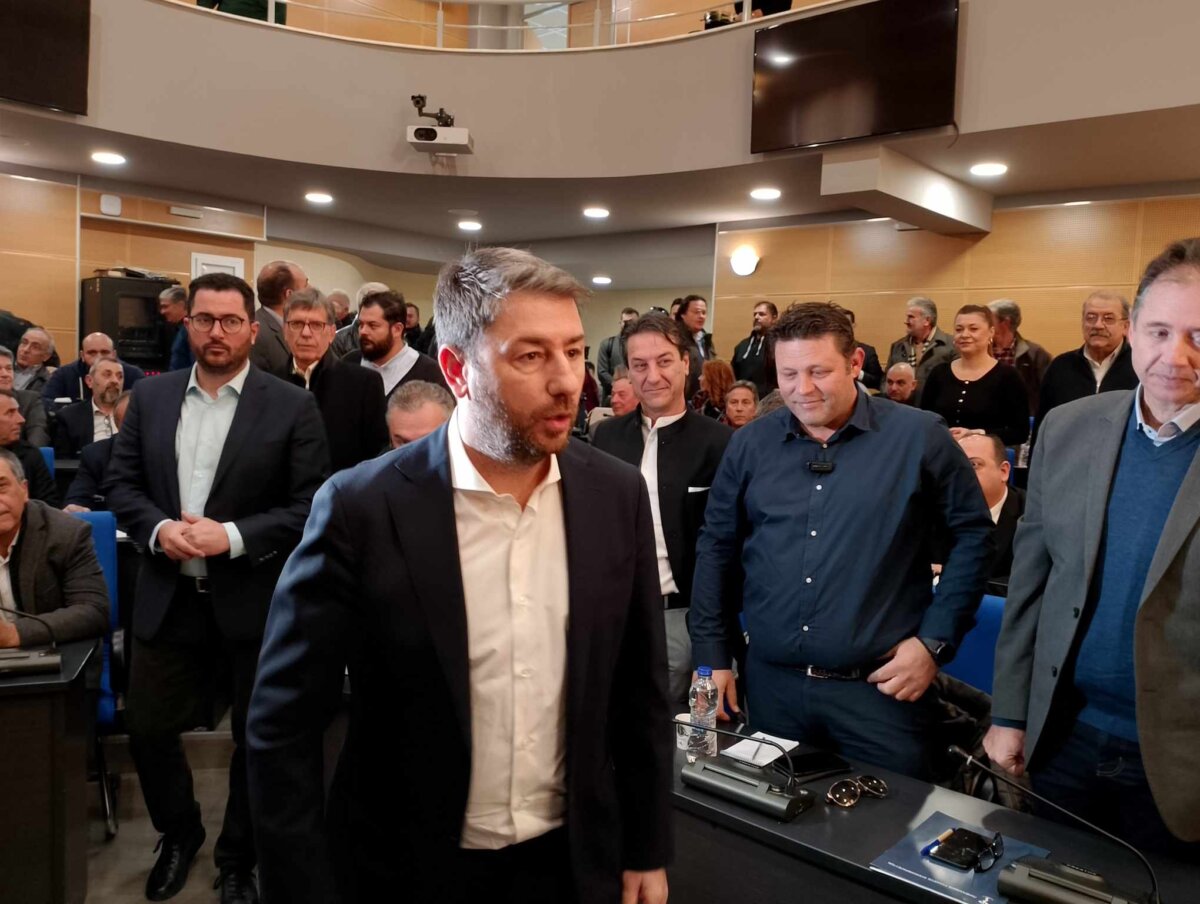 Ν. Ανδρουλάκης: Να γίνει task force για τη Θεσσαλία - Συζήτηση ...