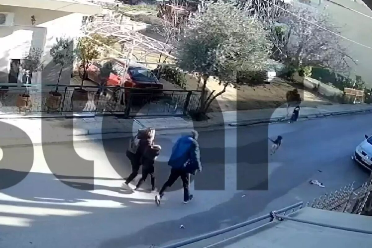 Καματερό: Η στιγμή της επίθεσης του σκύλου στο 9χρονο αγόρι (Βίντεο ...