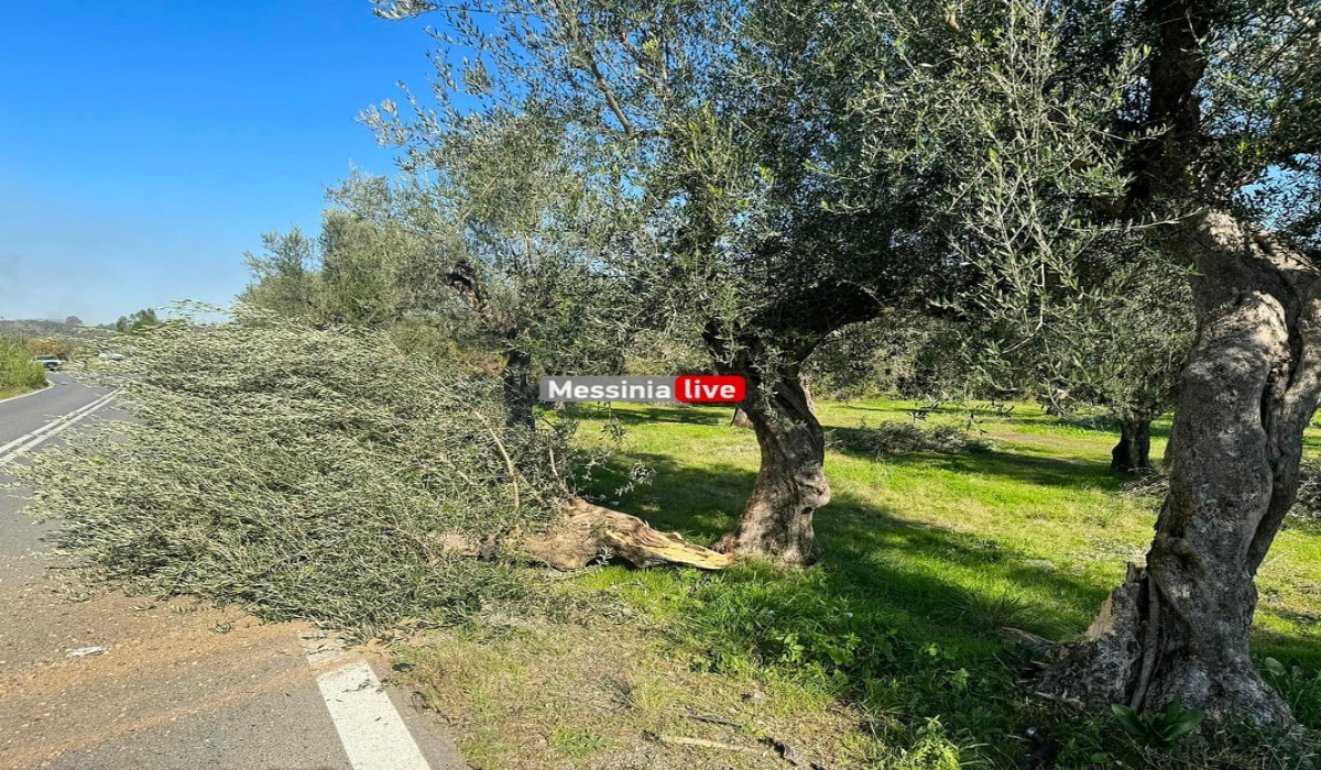 Τρομακτικό τροχαίο στη Μεσσηνία: 82χρονος οδηγός «καρφώθηκε» σε ...