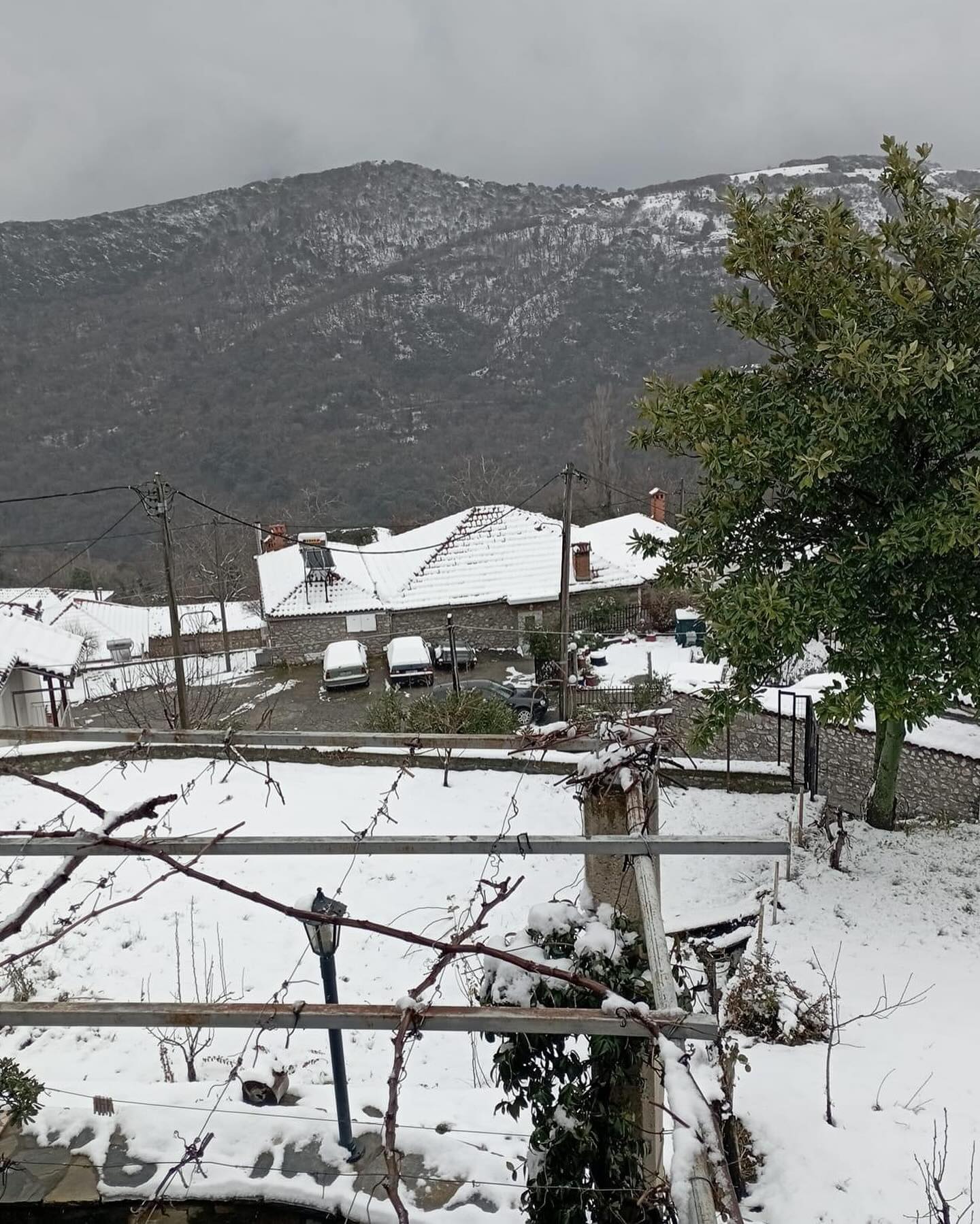 Το πρώτο χιόνι της χρονιάς έπεσε στη Ραψάνη - Fonografos.net