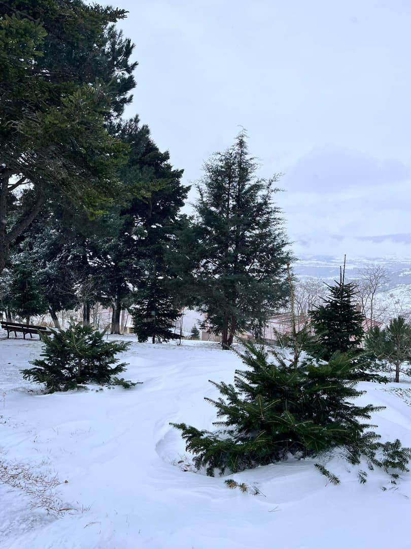 Λάρισα: Εικόνες από το χιονισμένο Λιβάδι Ολύμπου (φωτ & βίντεο ...