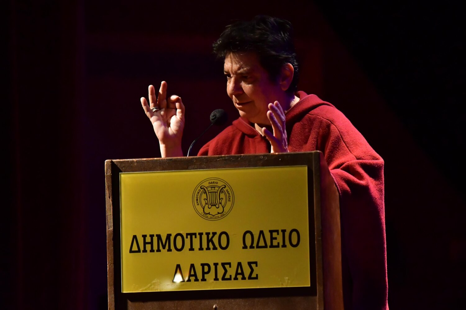 Ομιλία για τα "Κεντρικά σημεία της Ιστορίας του Ελληνισμού" με την ...