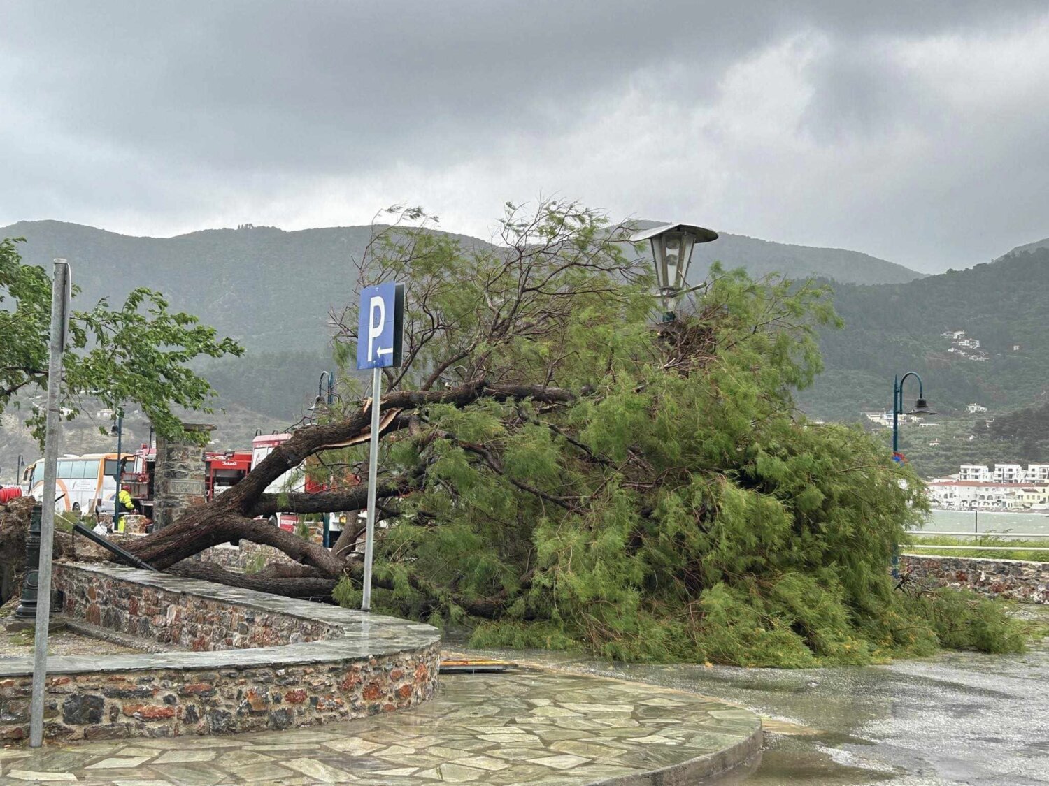 Ζημιές από την κακοκαιρία στη Σκόπελο – Επεσαν δέντρα και κατέστρεψαν ...