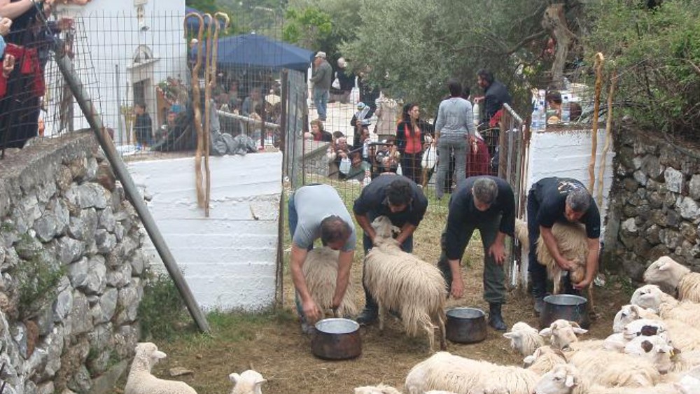 Κρήτη: Ευλόγησαν και φέτος τα πρόβατα στην Ασή Γωνιά - larissanet.gr