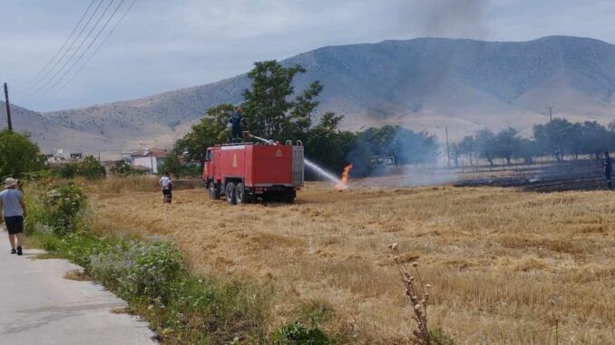 Φωτιά σε καλαμιά κοντά σε σπίτια και επιχειρήσεις στον Τύρναβο ...