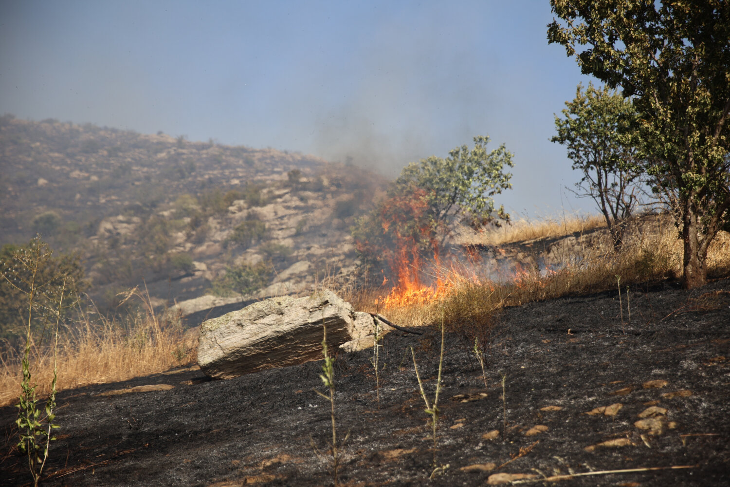 Ο χάρτης πρόβλεψης κινδύνου πυρκαγιάς: Πολύ υψηλός κίνδυνος αύριο, οι ...