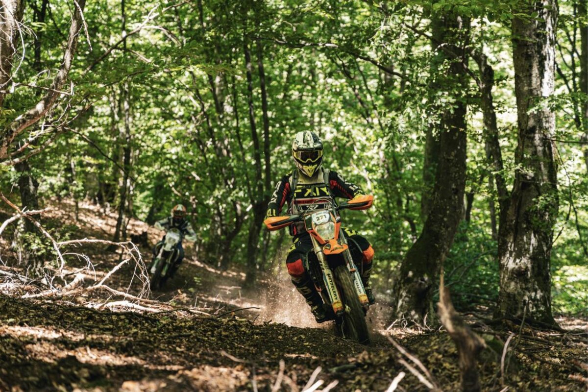 Έρχεται το Mamali Festival 2024 - larissanet.gr