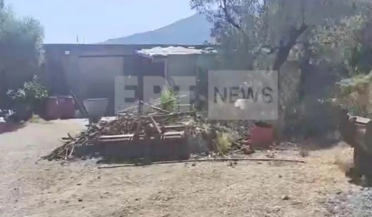 Ρέθυμνο: Εσπευσμένα στη ΜΕΘ του ΠΑΓΝΗ ο κτηνοτρόφος που πυροβόλησαν και ...