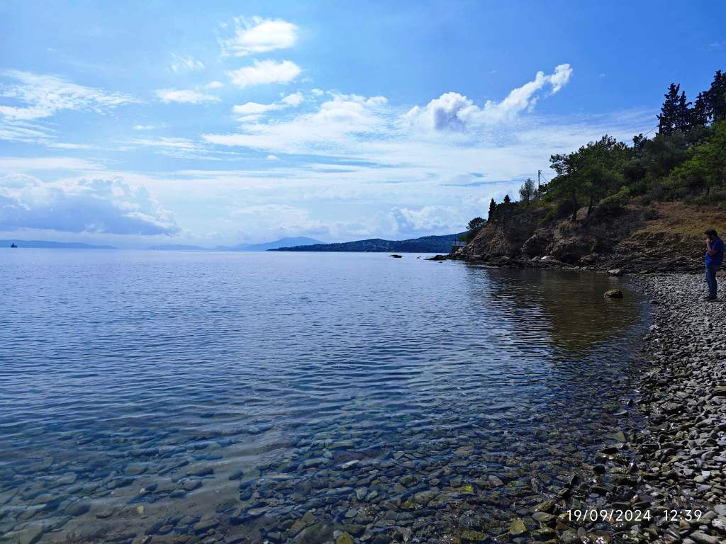 Βόλος: Από την Τρίτη ήταν νεκρός ο 40χρονος που χτύπησε τον πατέρα του ...