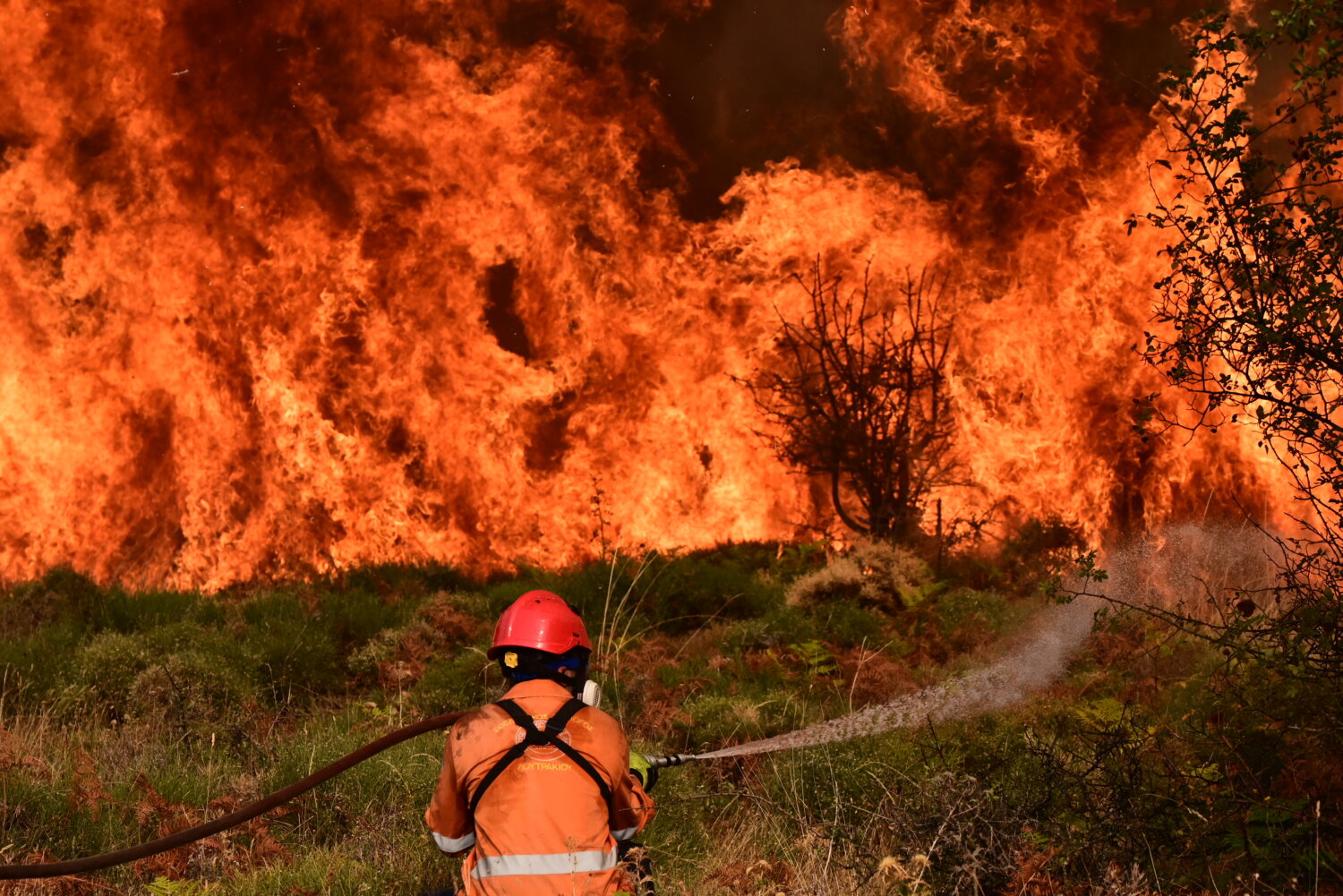 Πολύ υψηλός κίνδυνος πυρκαγιάς αύριο σε 11 Περιφέρειες της Ελλάδας ...