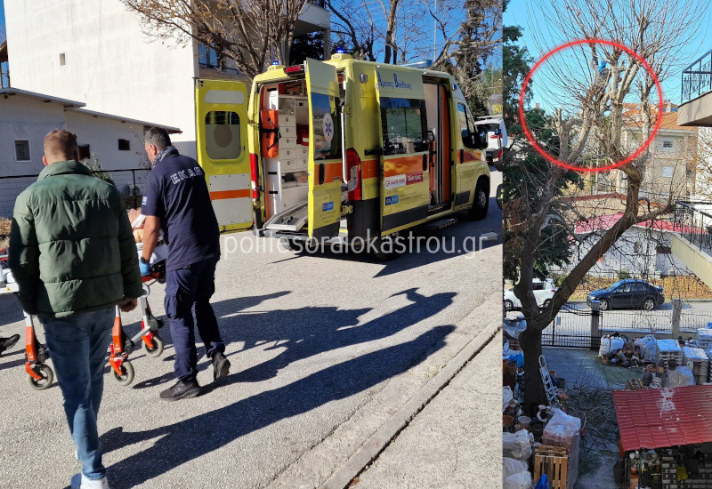 Θεσσαλονίκη: Στο νοσοκομείο 50χρονος που έπεσε από ψηλό δέντρο που ...