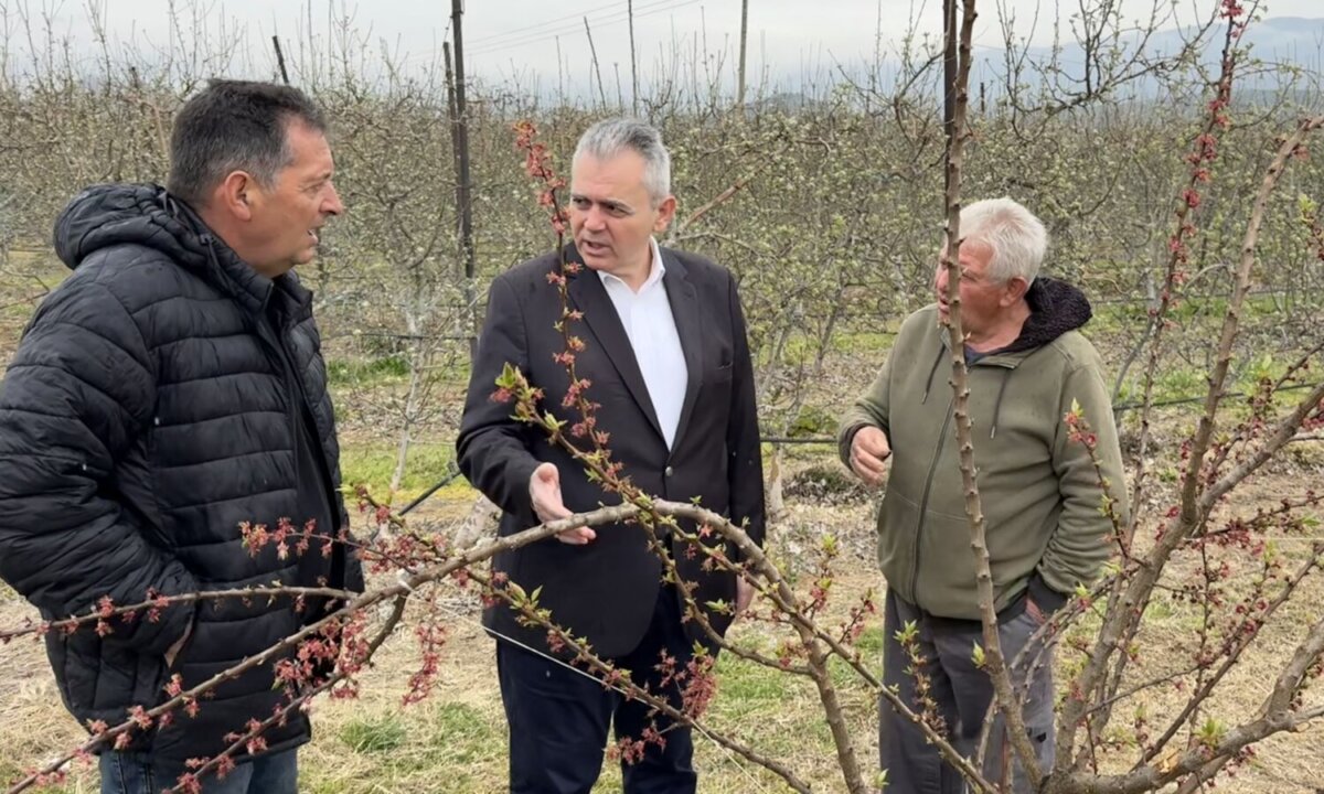 Μ. Χαρακόπουλος στην Αγιά: Επιβεβλημένες οι προκαταβολές αποζημιώσεων ...