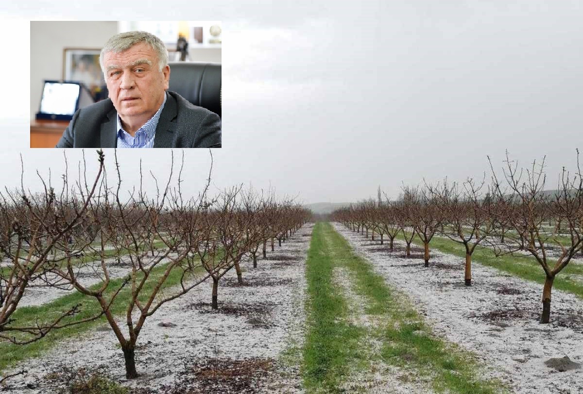 Θ. Νασιακόπουλος: «Το χαλάζι που έπληξε δενδρώδεις καλλιέργειες στο ...