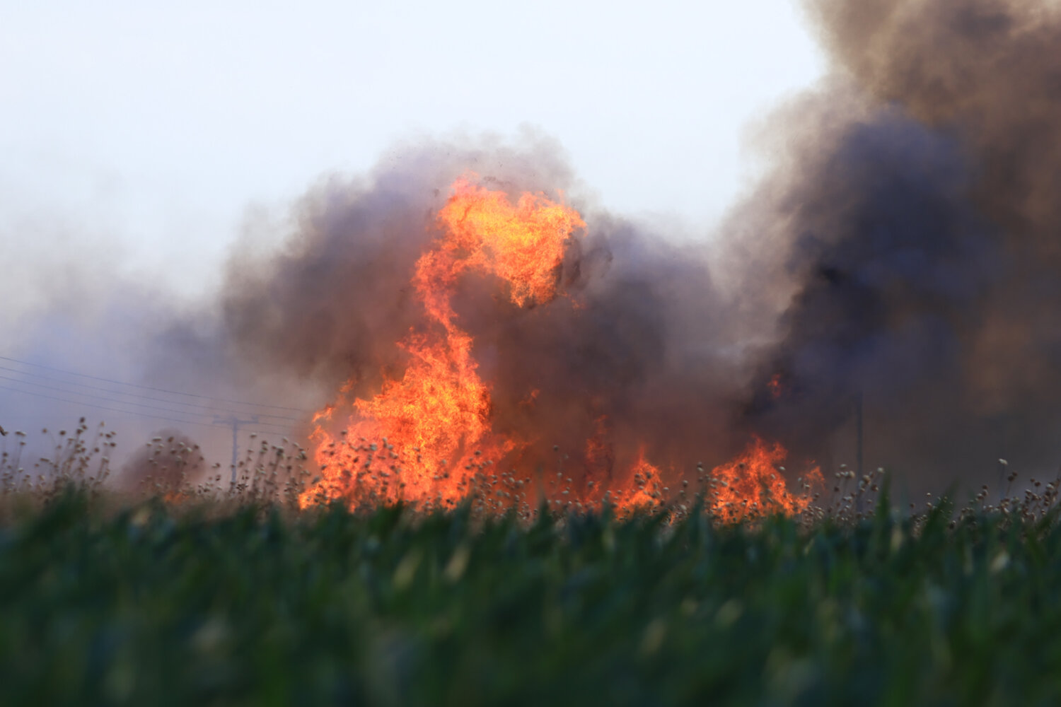 Πολύ υψηλός κίνδυνος πυρκαγιάς την Τρίτη σε πέντε περιφέρειες – Ο ...